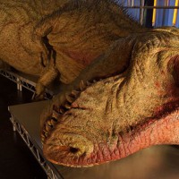 Realscreen » Archive » Nat Geo to air “T. rex Autopsy” in June