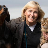 Realscreen » Archive » Exclusive clip: High Noon’s back to the vet with ...