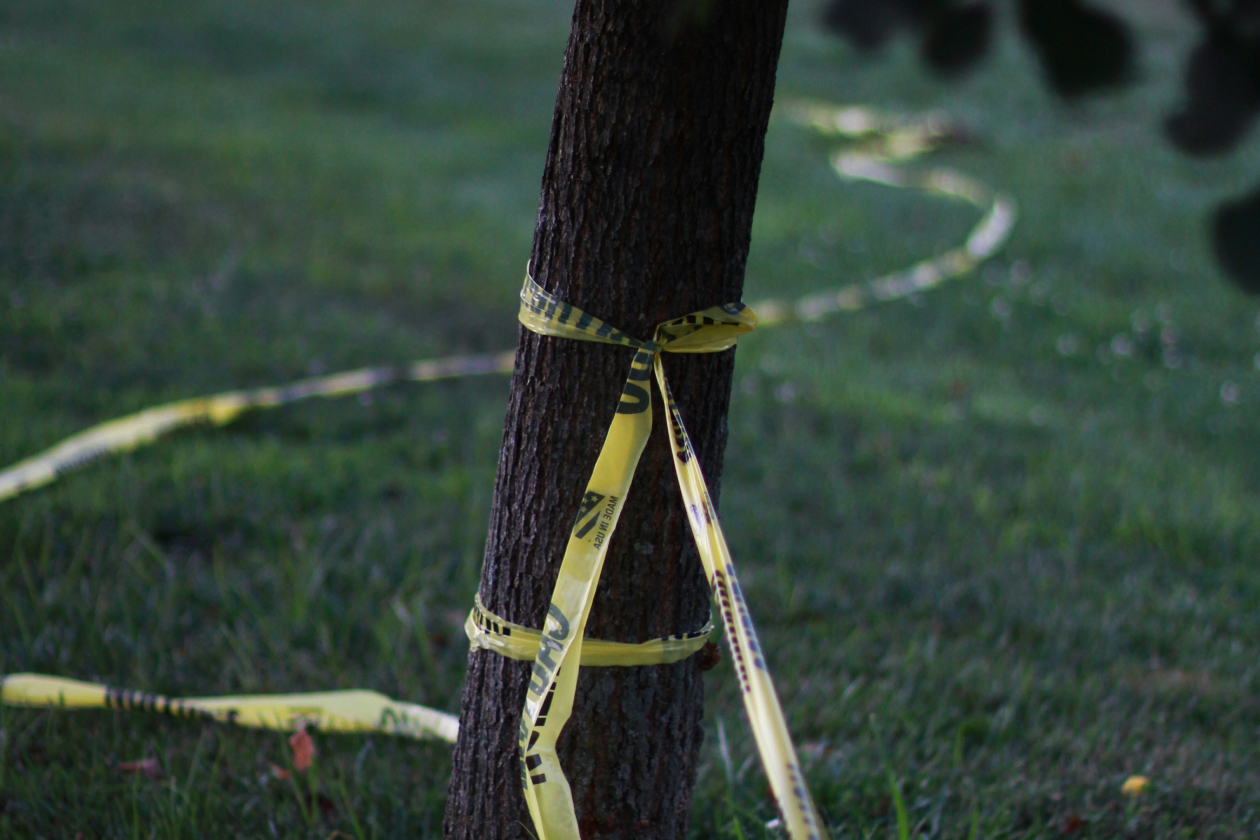 Realscreen » Archive » Netflix readying doc on Alissa Turney case from The Cinemart