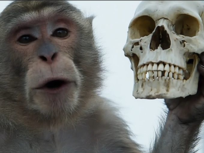 Realscreen » Archive » Runway unveils Gen 4.5 text-to-video model